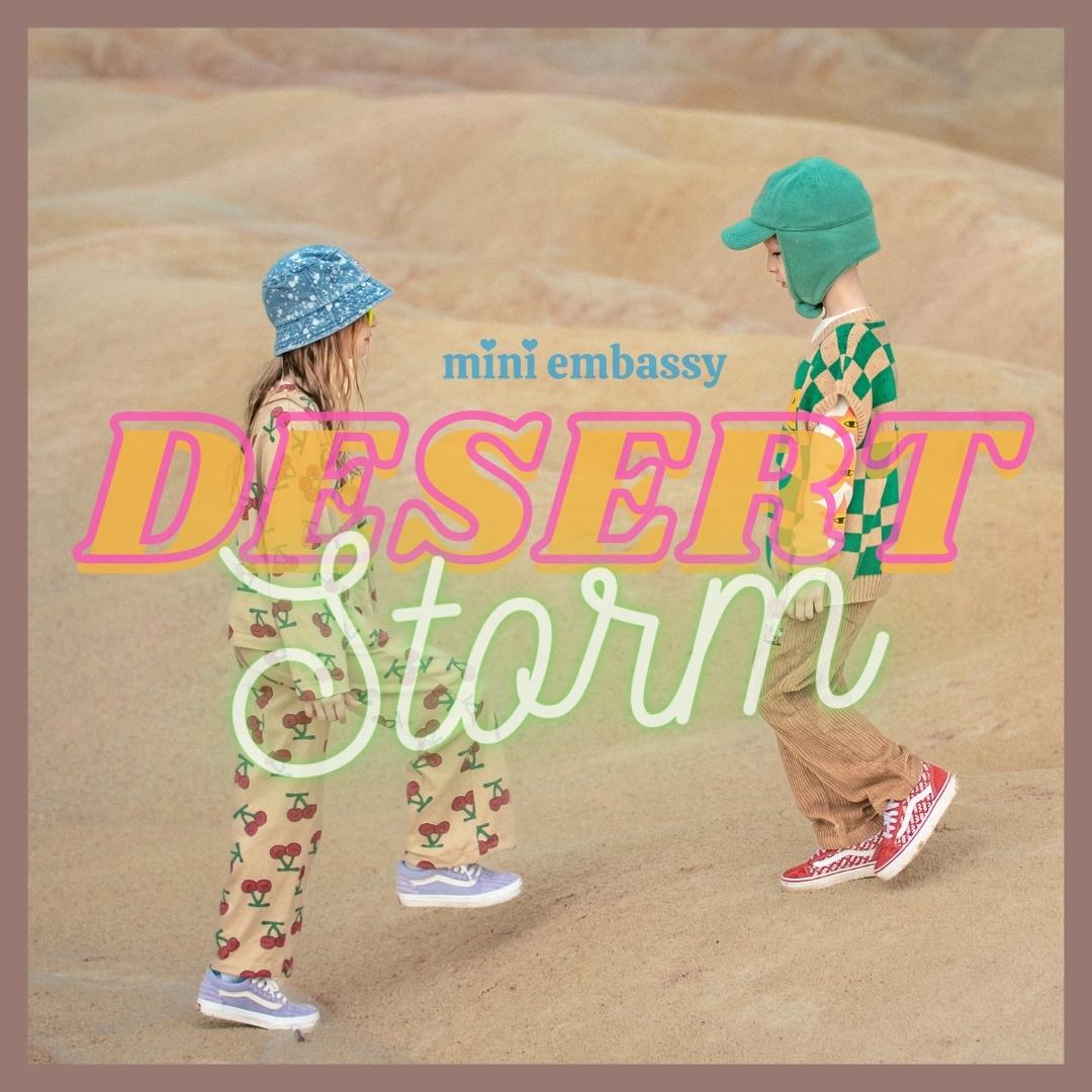 Desert StORM | Mini Embassy WE LEGIT This summer whilst in Seoul the ...